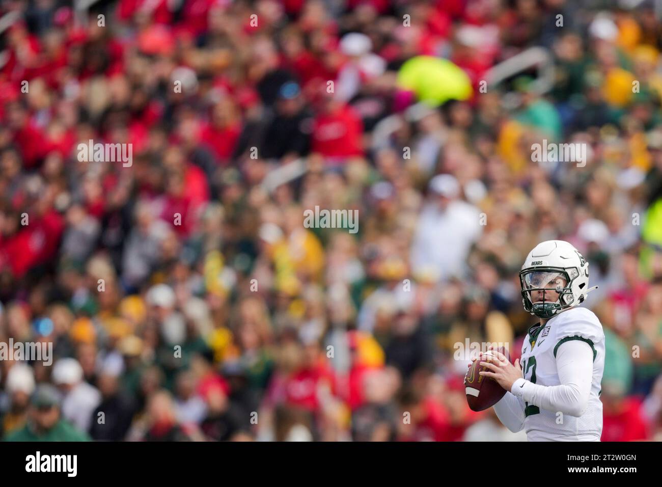 Baylor Bears quarterback Blake Shapen (12) drops back to pass during an ...