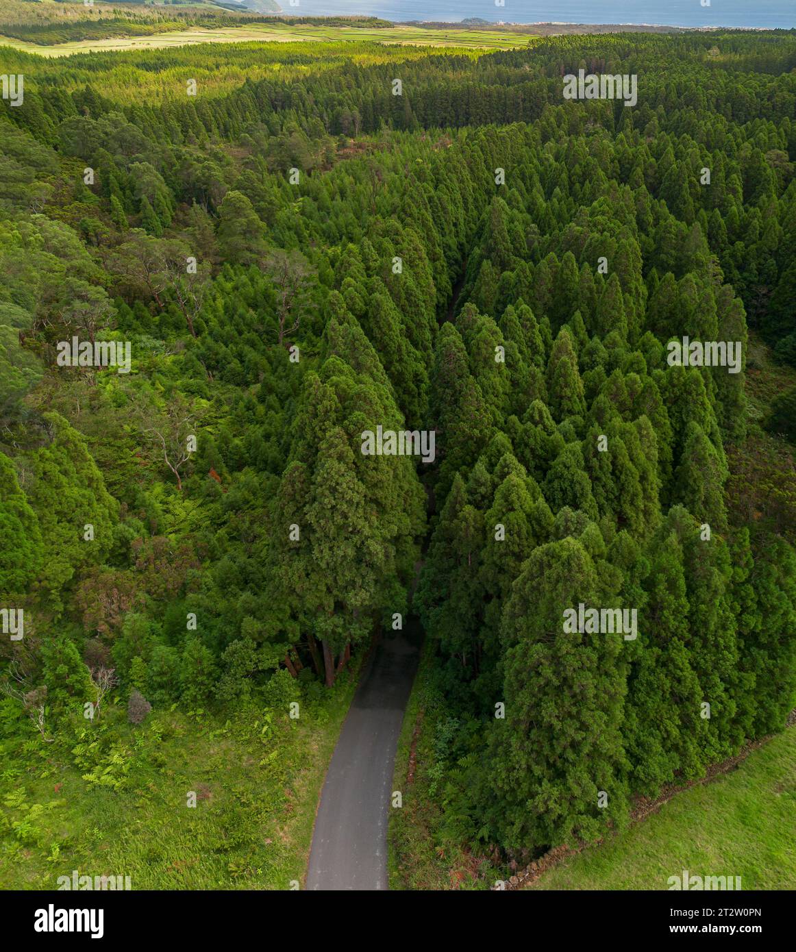 Azorean islands hi-res stock photography and images - Alamy