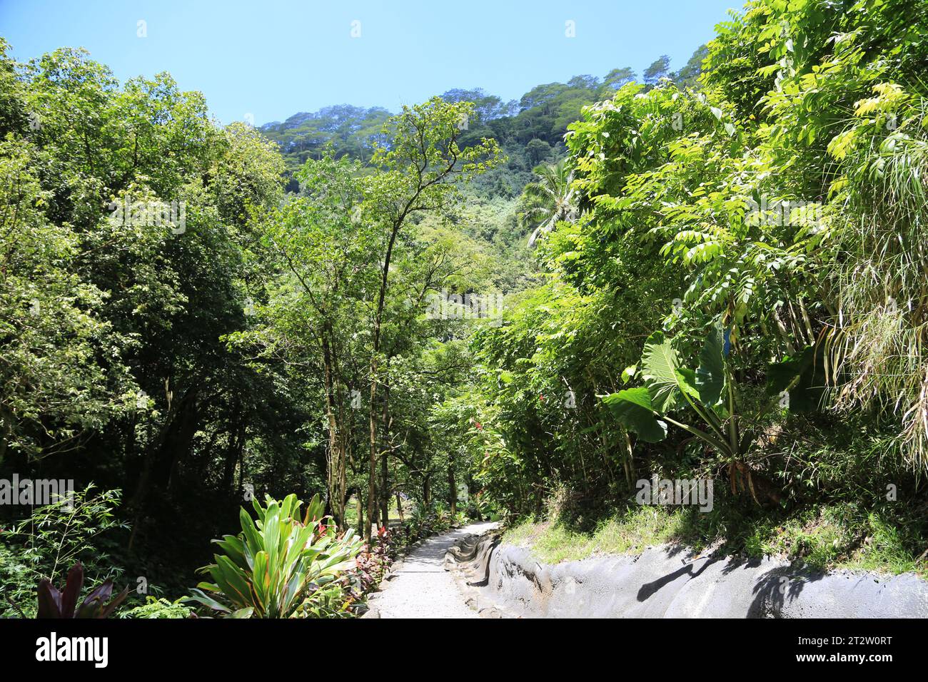 The site of the 3 Cascades of Te Fa’aurumai on the east coast of the ...