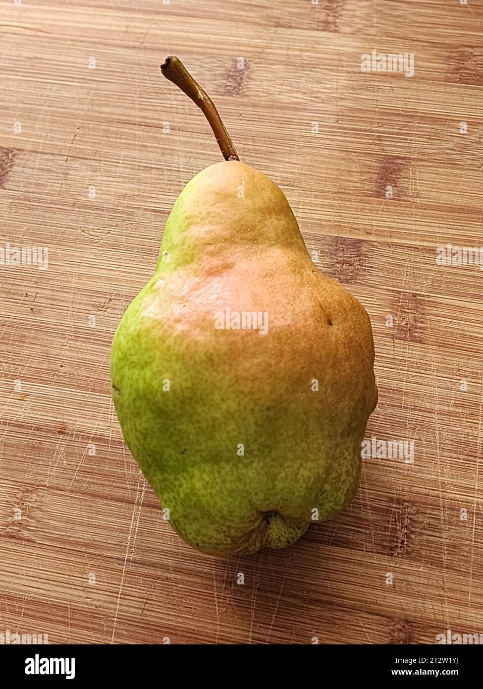 Pyrus communis, the common pear Stock Photo - Alamy
