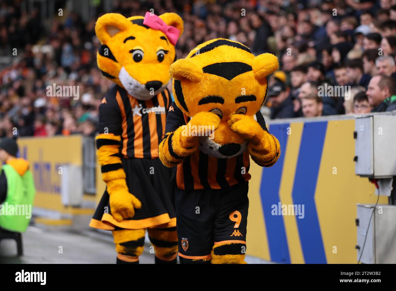 Hull City mascots Amber and Roary during the Sky Bet Championship match ...