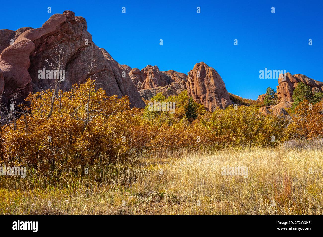 Autumn colors highlighted against the red rocks and blue sky in ...