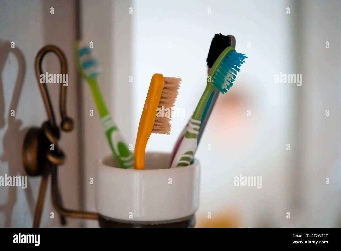 Toothbrushes for personal hygiene, teeth and gums health care Stock ...