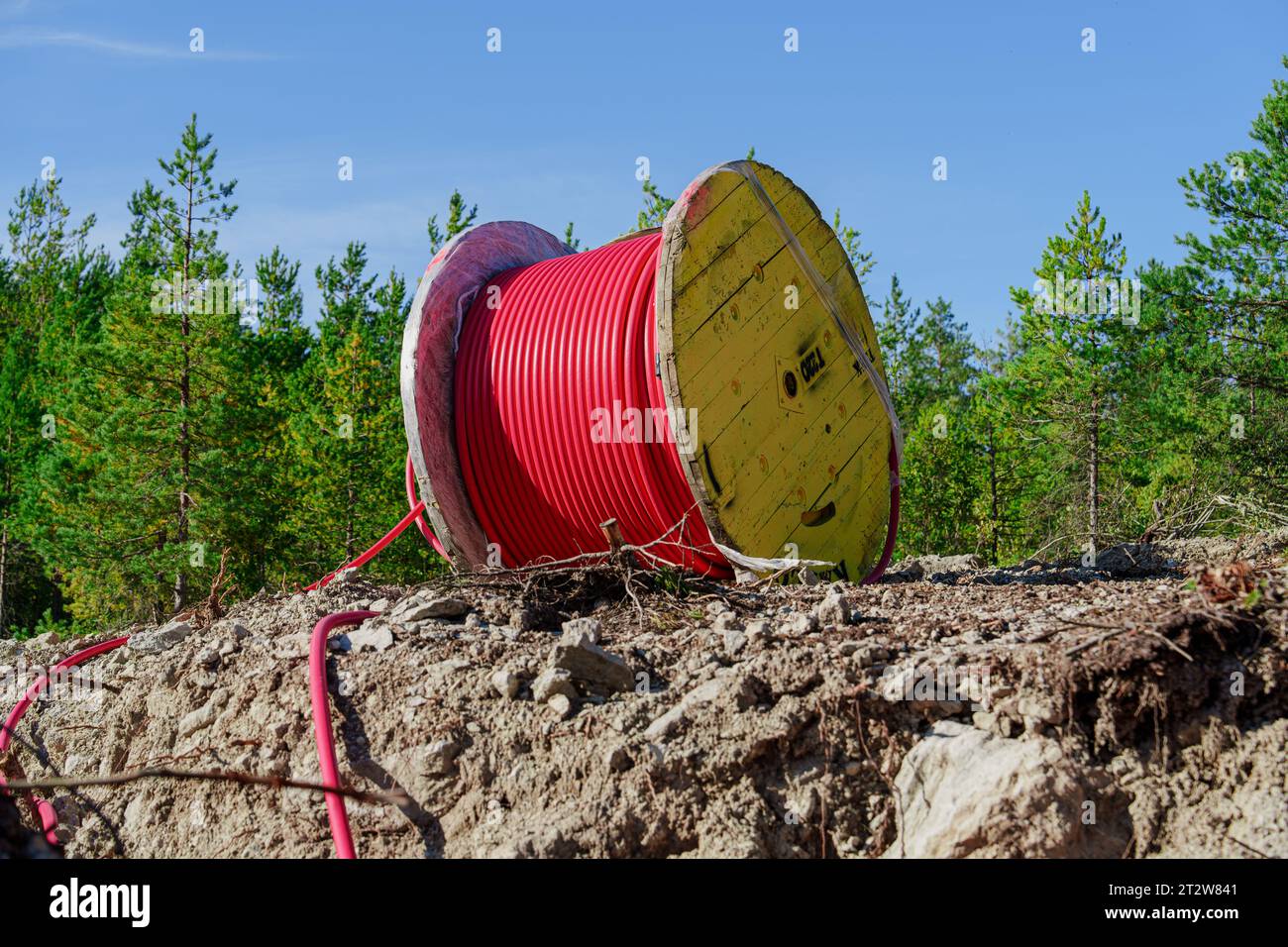 Wooden Reel with High Voltage Red Cable in Forest: Ready for ...