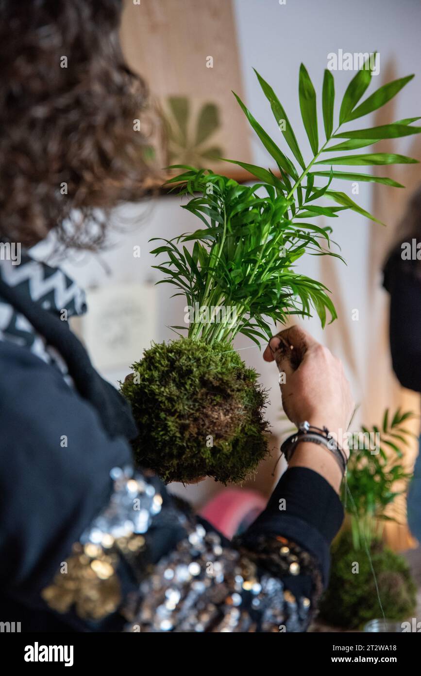 Kokedama artistry hi-res stock photography and images - Alamy