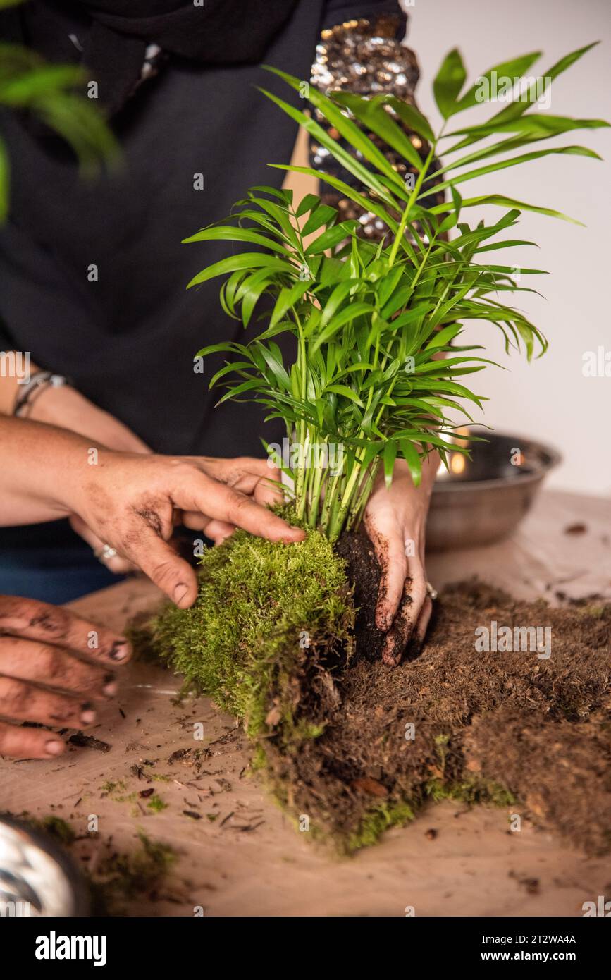 In this captivating image, a group of hands come together to create a ...