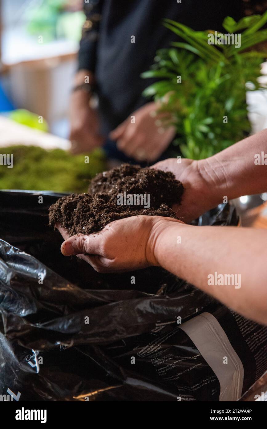 In this evocative image, a pair of skilled hands tenderly cradle a ...