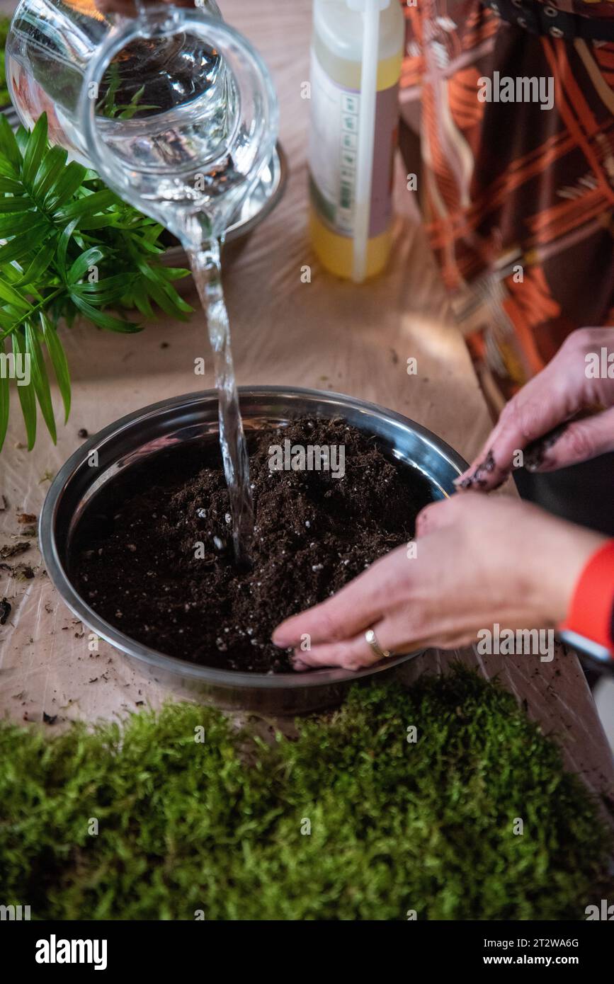 In this visually engaging composition, a carefully placed watering jug ...