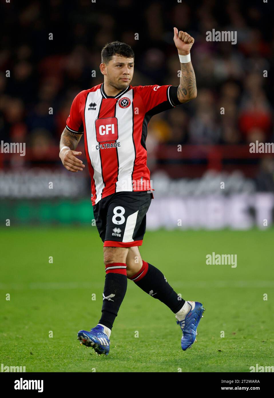 Sheffield United's Gustavo Hamer during the Premier League match at ...
