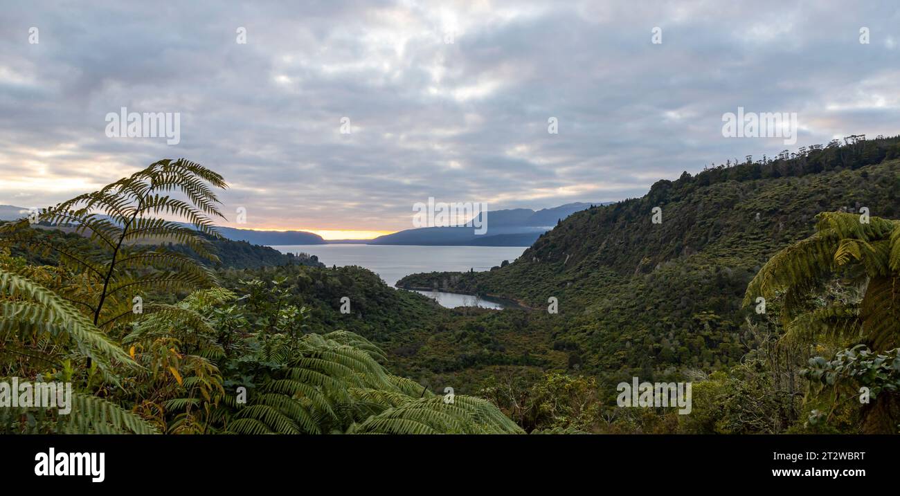Blue Lake , Lake Tikitapu, Rotorua, New Zealand Stock Photo - Alamy