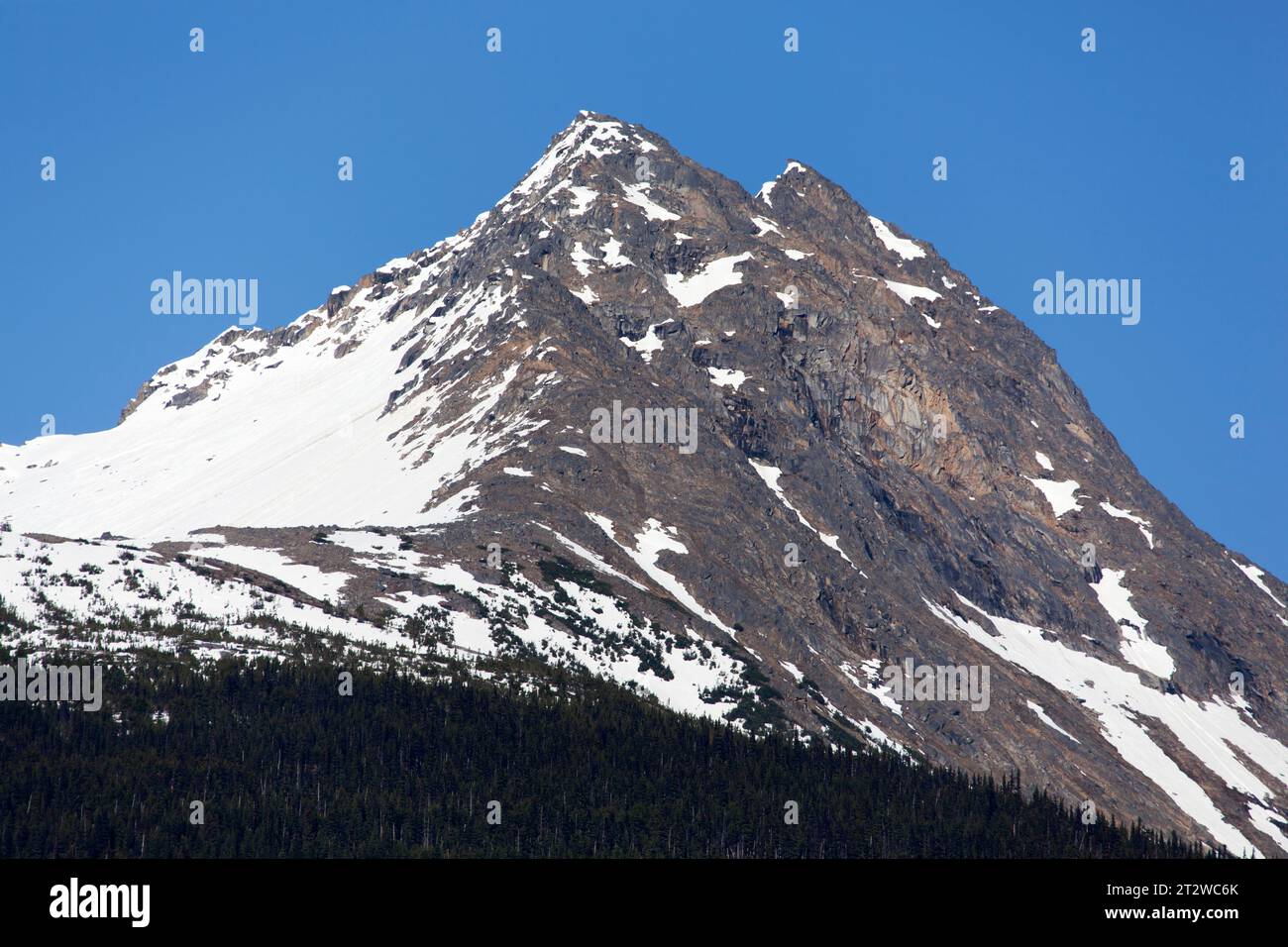 The springtime view of the tall snowy mountain as seen from Skagway ...