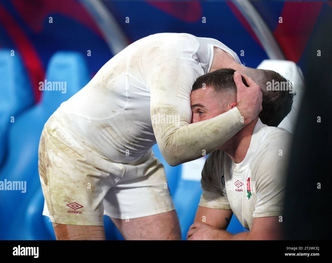 Denis daly hi-res stock photography and images - Alamy