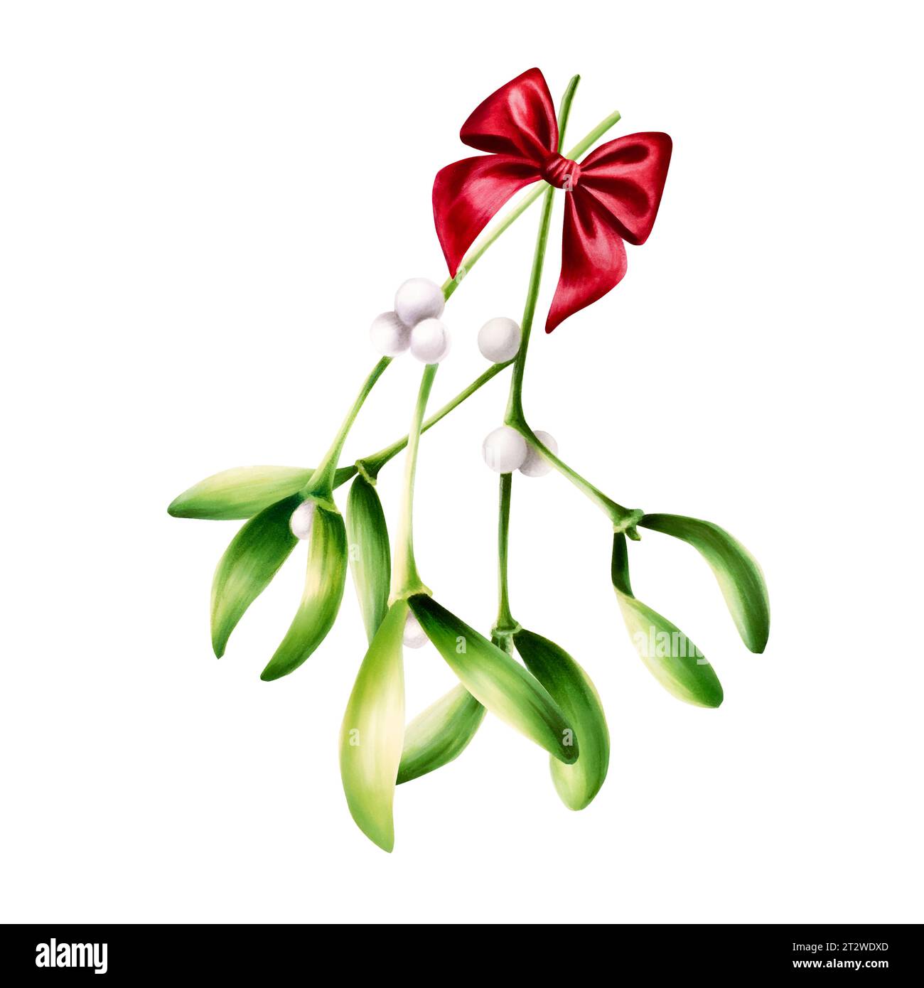 Watercolor christmas green mistletoe with red satin bow. New year ...