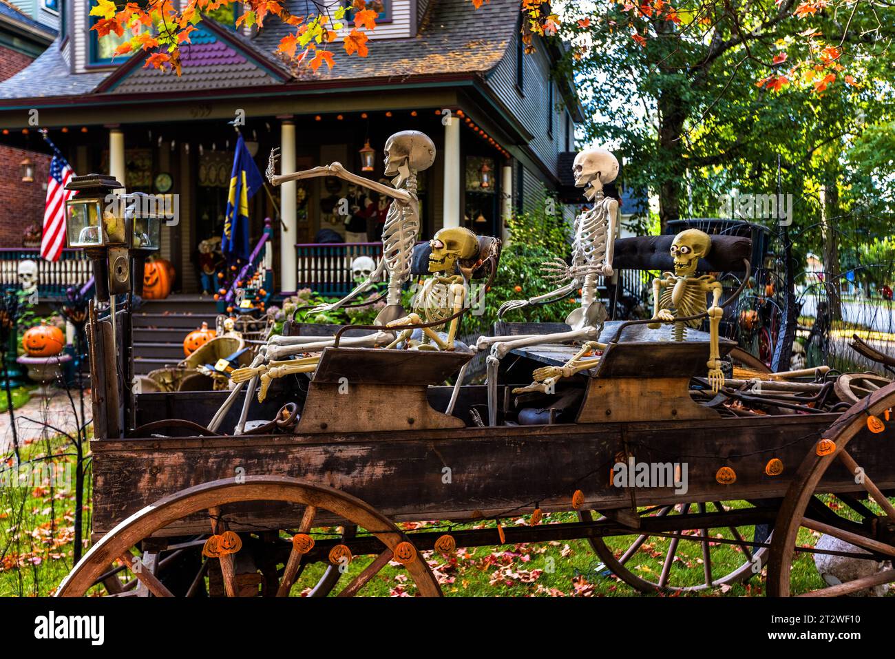 Carriage with skeletons in the front garden of a house as Halloween ...