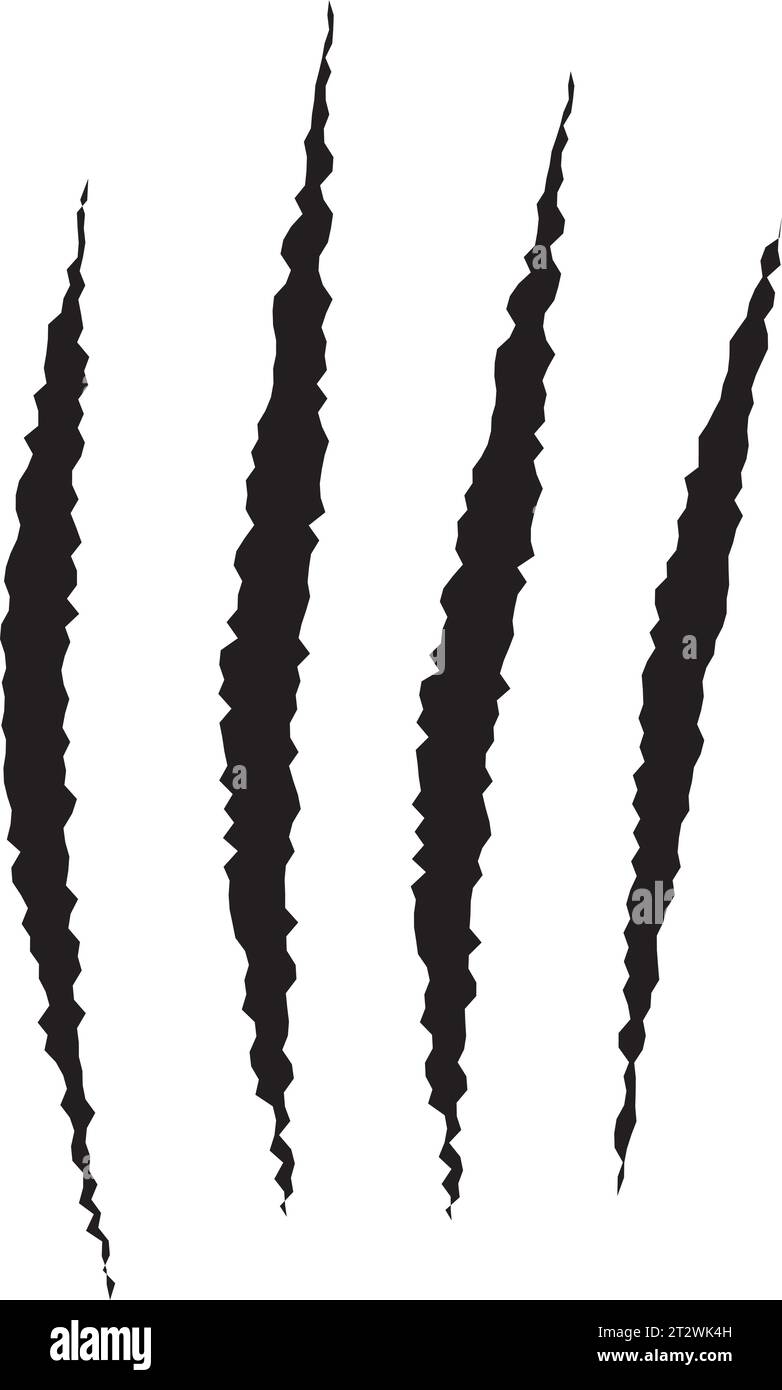 Four cat scratches on white background. Stock vector illustration ...