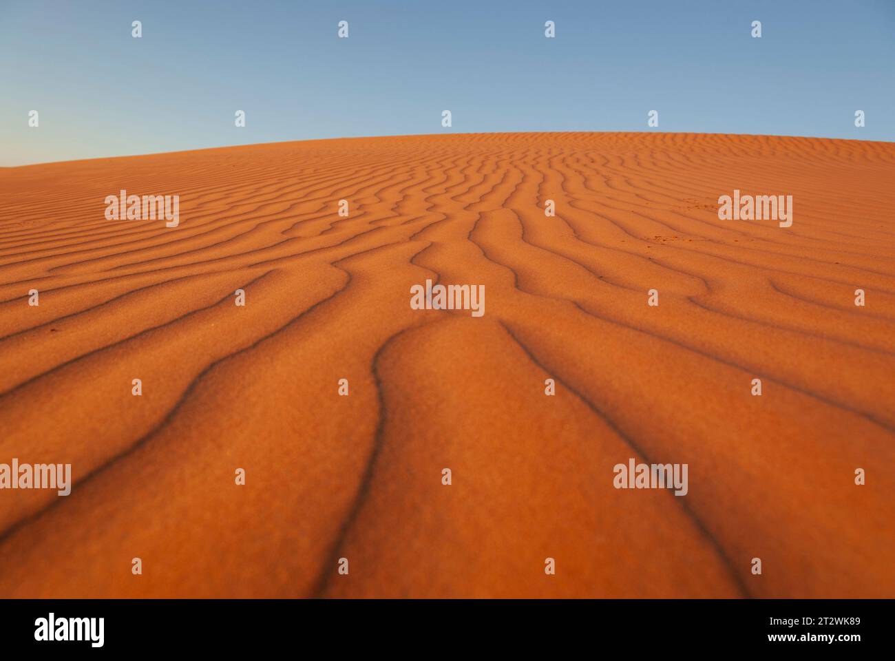 Close view of the incredible texture of thedunes of Wahiba Sands in ...