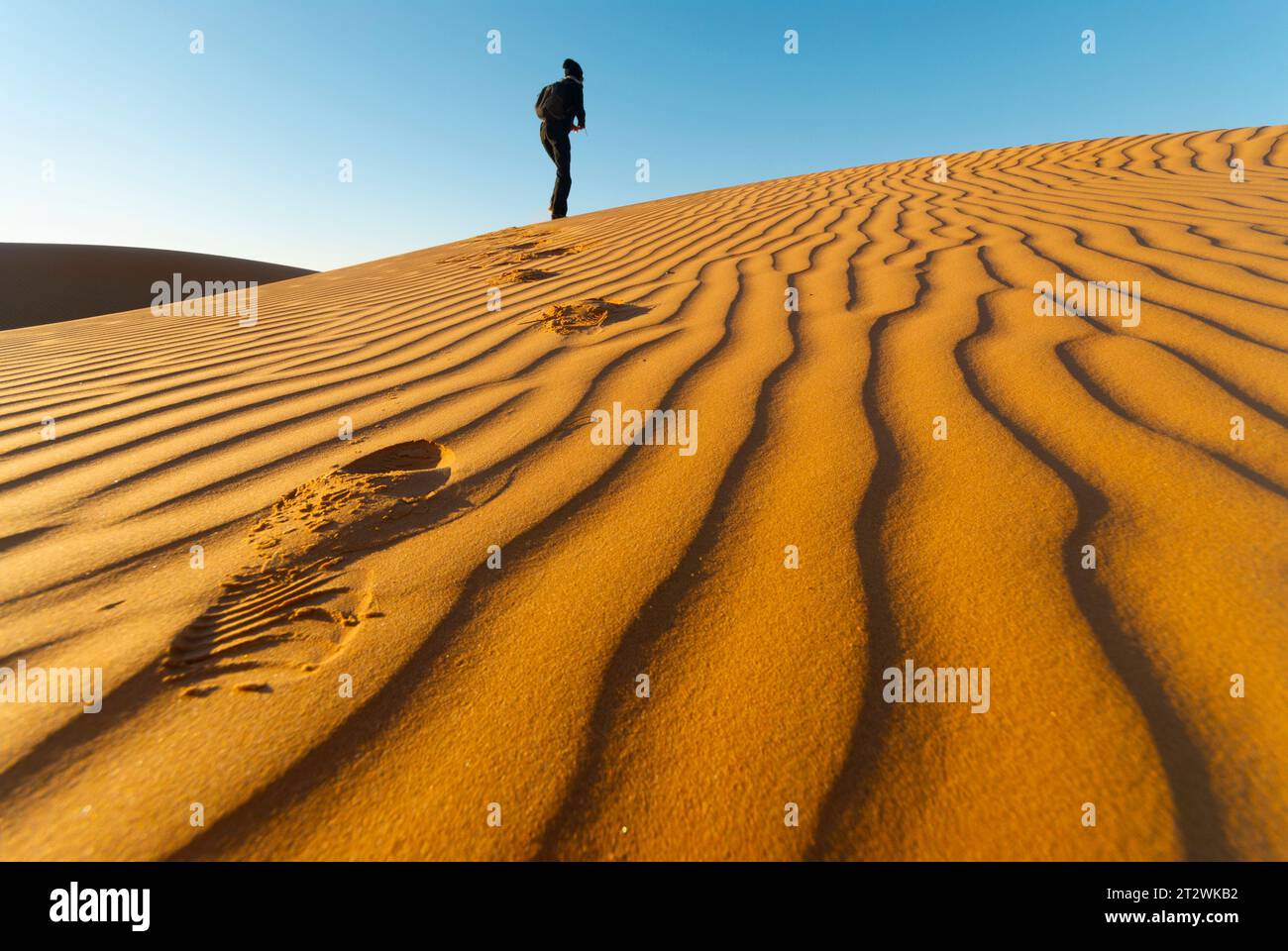 A female tourist climbs the sand dunes of Wahiba Sands in the sandy ...