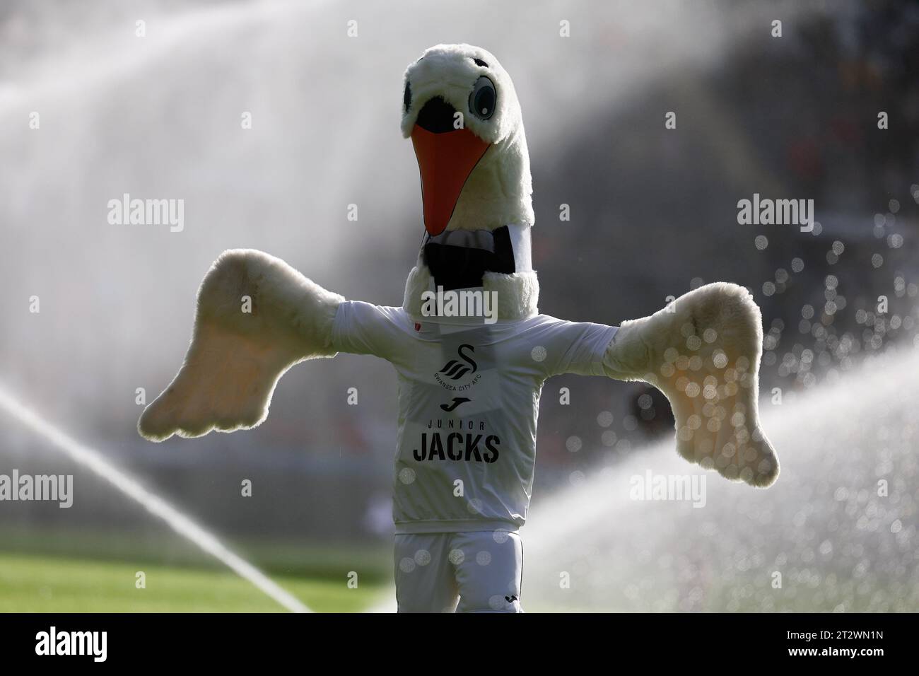 Leicester city mascot hi-res stock photography and images - Alamy