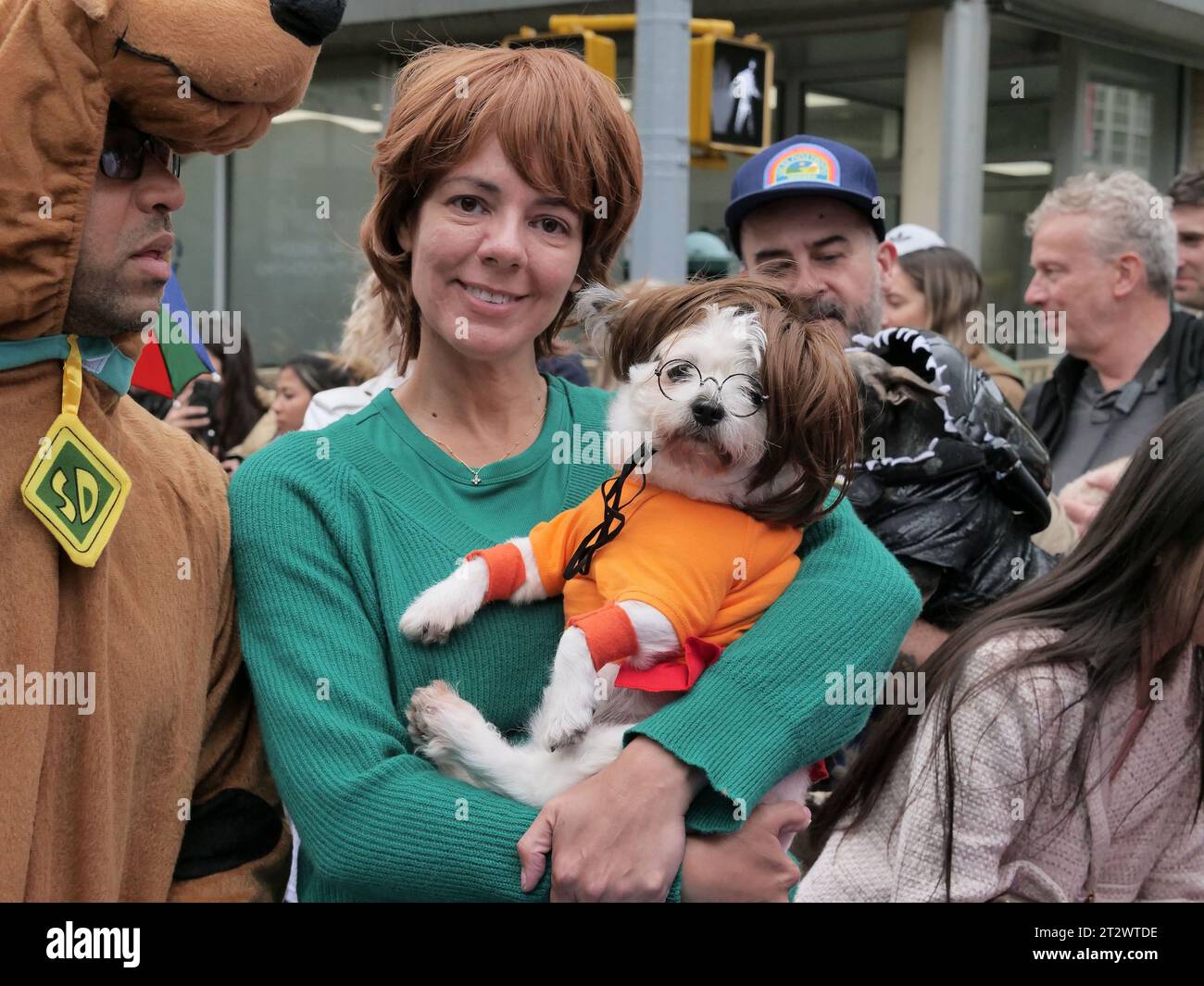 Dogparade hi-res stock photography and images - Alamy