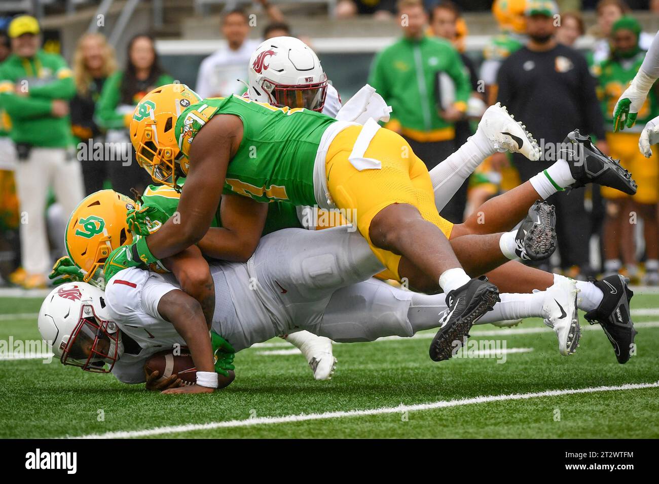 Washington State quarterback Cameron Ward (1) is sacked by Oregon ...