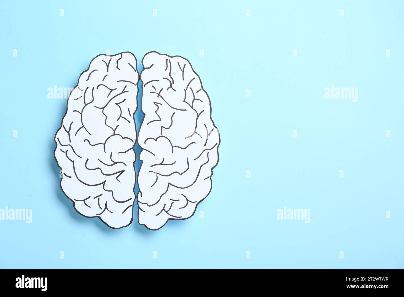 Paper brain hemispheres on light blue background, top view. Space for ...