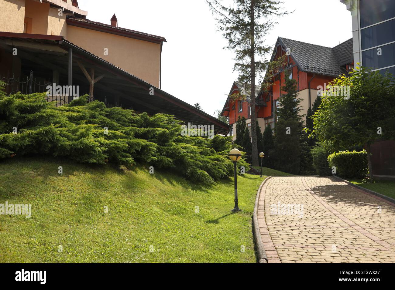 Beautiful green plants growing outdoors. Landscape design Stock Photo ...