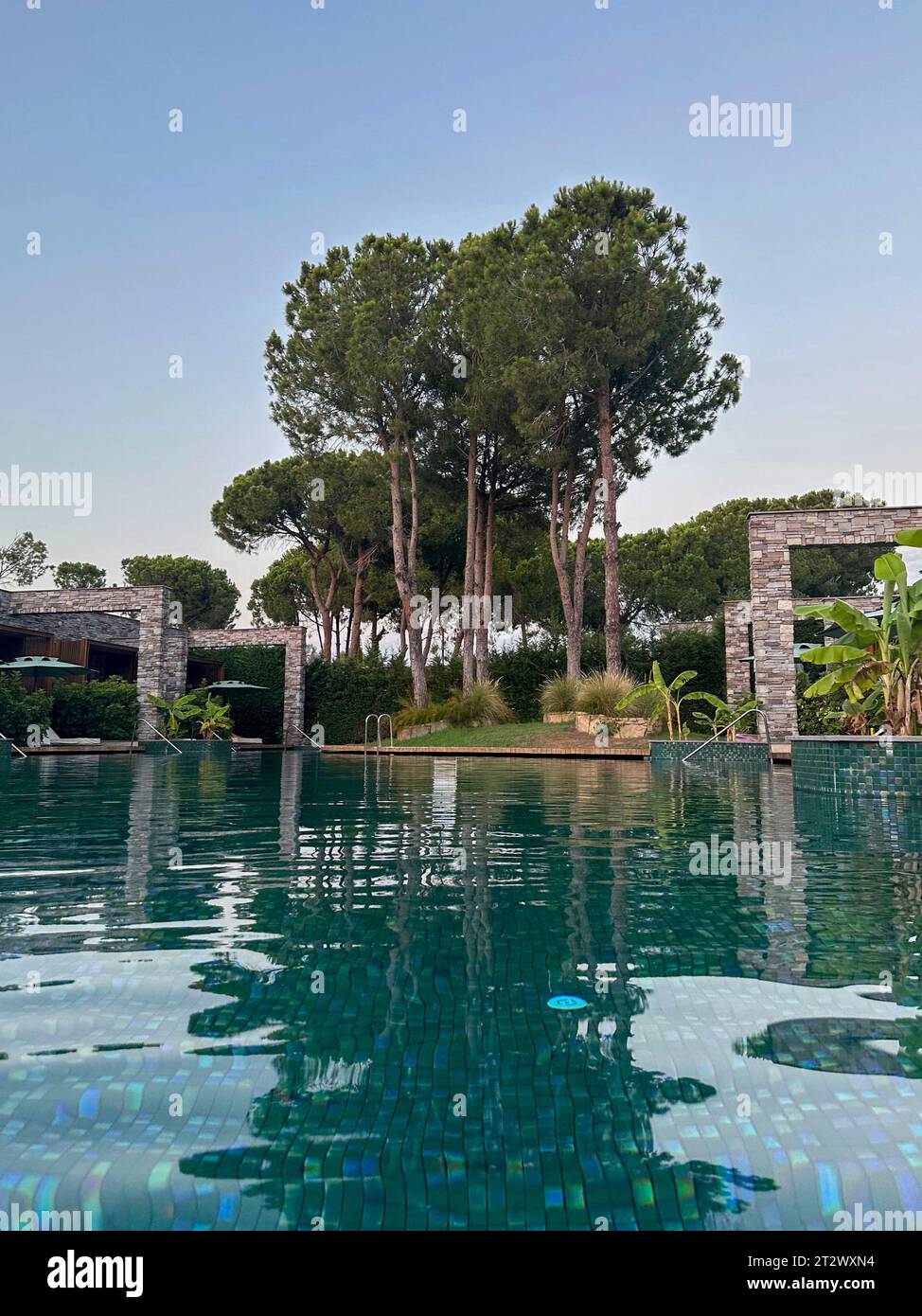 Swimming pool and tropical plants at luxury resort Stock Photo - Alamy