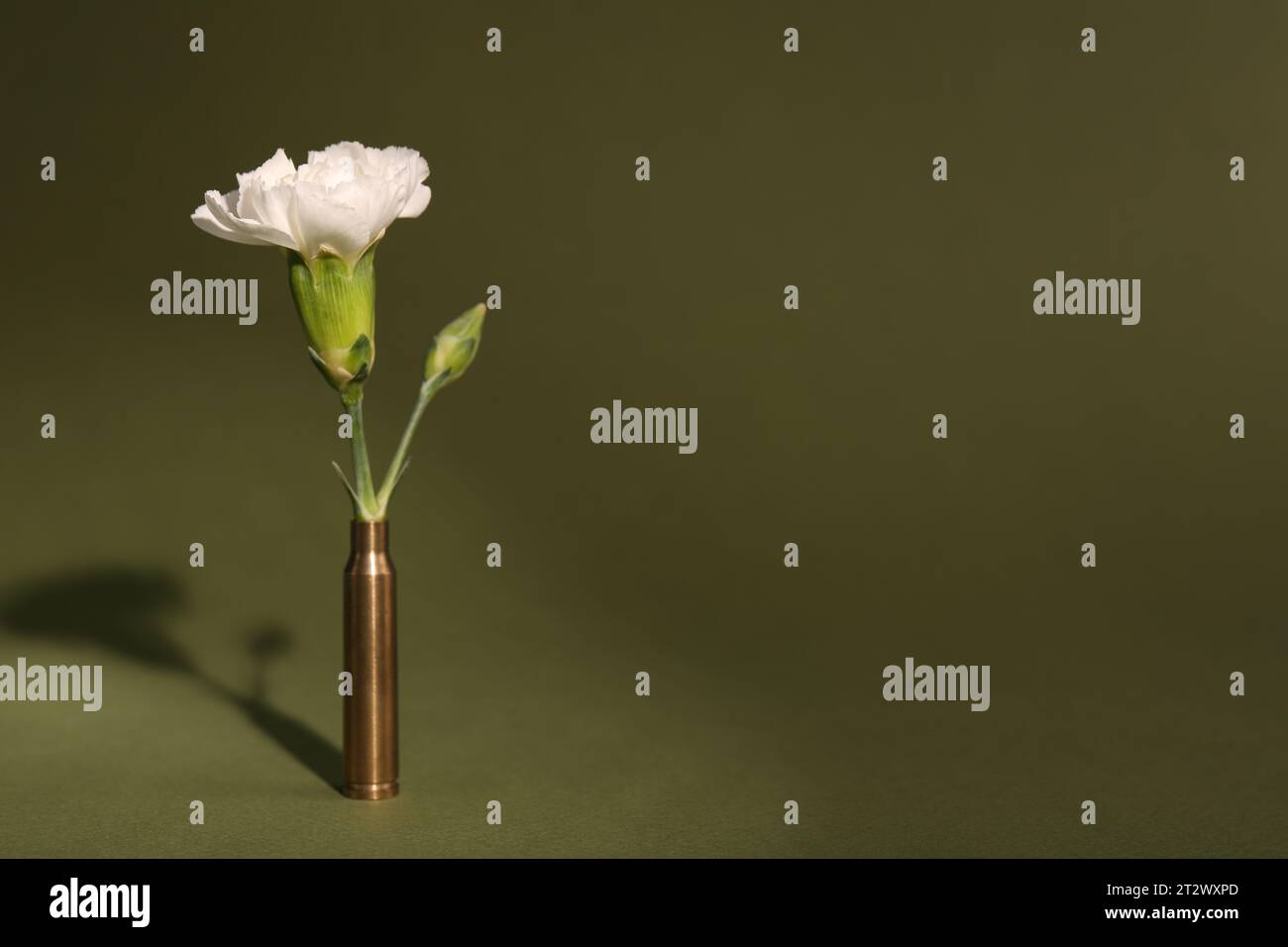 Bullet cartridge case and beautiful carnation flower on dark green ...