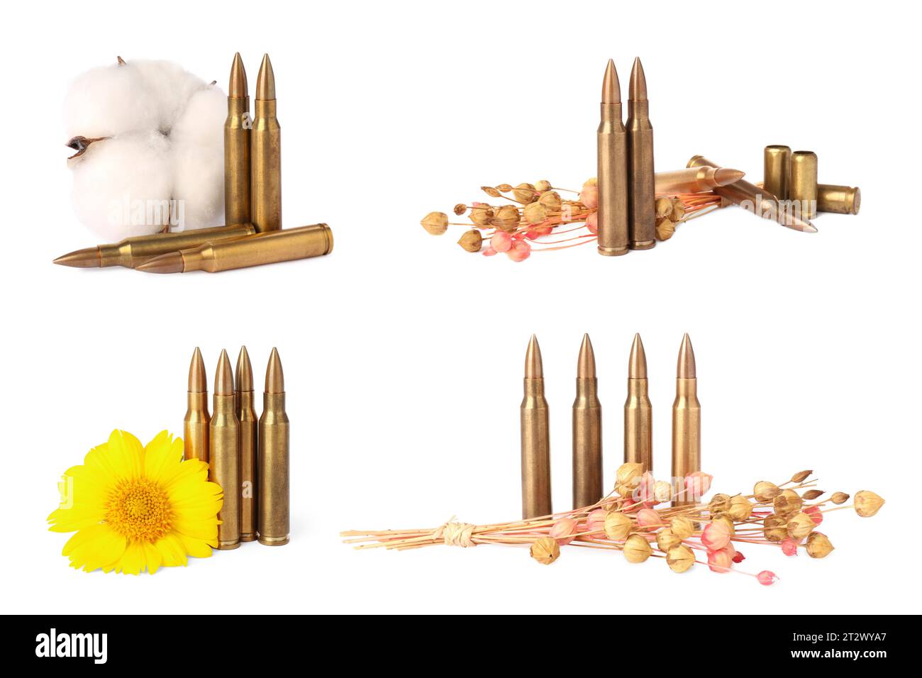 Set of bullets and beautiful flowers isolated on white Stock Photo - Alamy