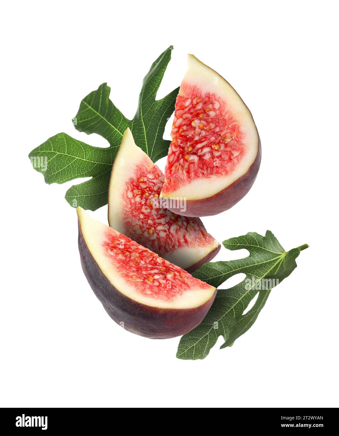 Piece of fresh fig and green leaves falling on white background Stock ...