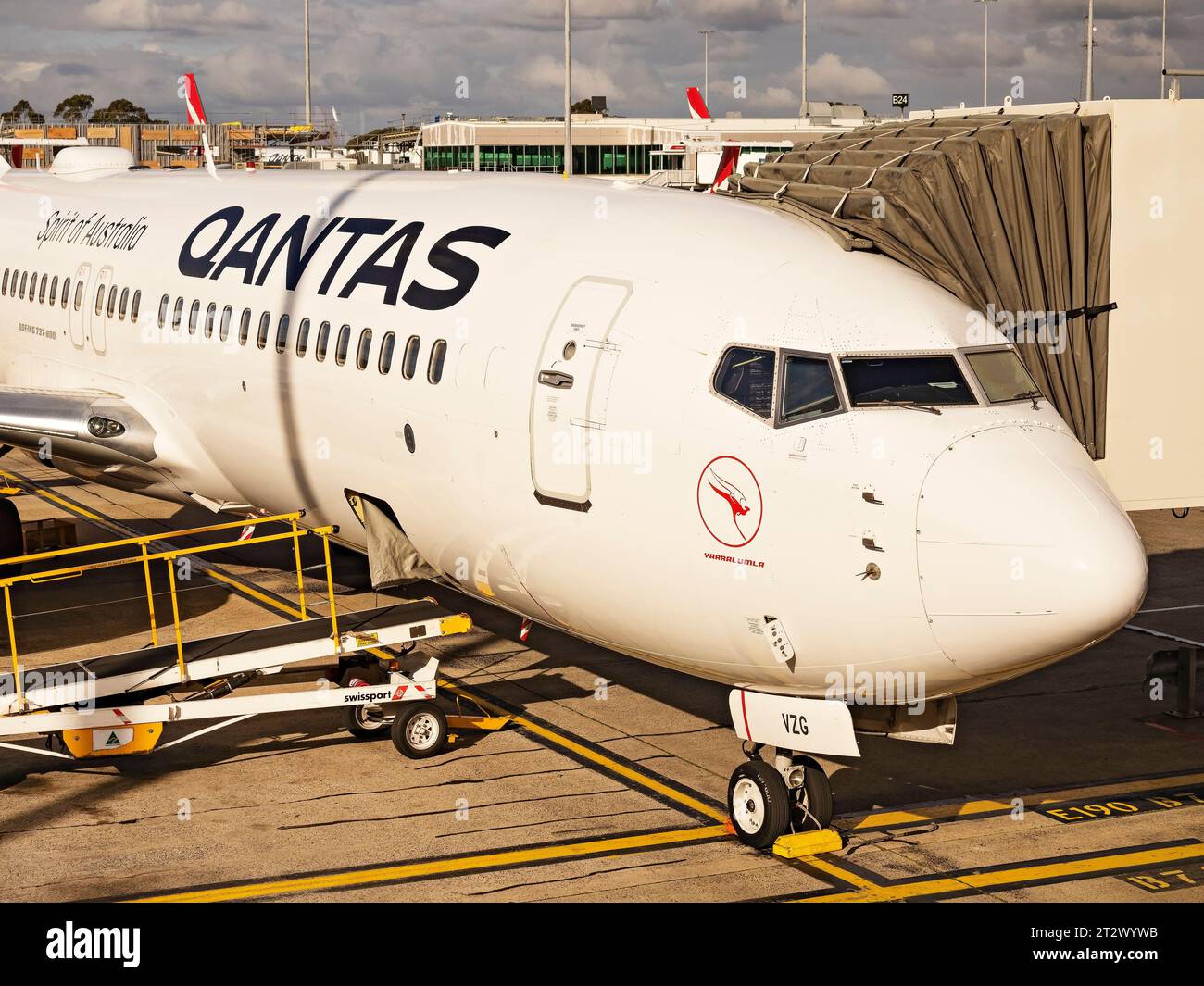Qantas domestic terminal sydney hi-res stock photography and images - Alamy