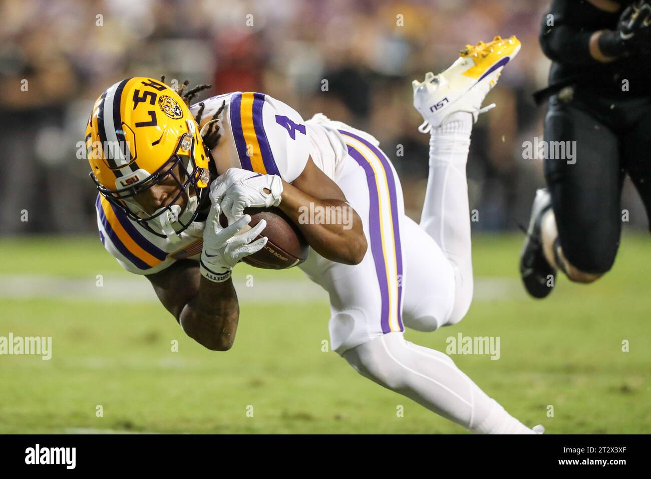Lsu _18 of 21_ jpg hi-res stock photography and images - Alamy
