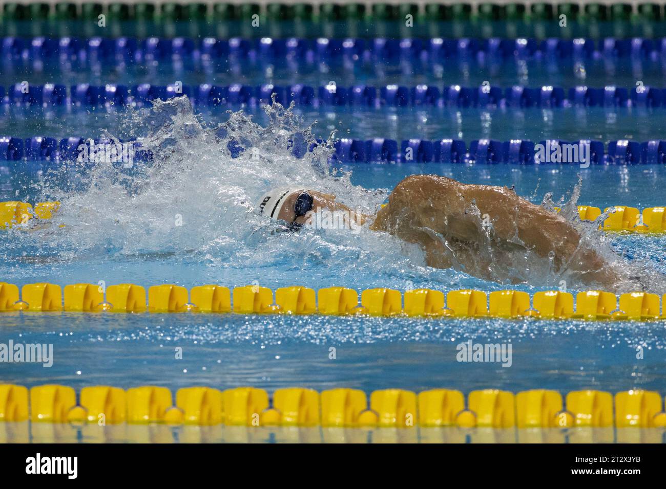 Matthew sates of south africa hi-res stock photography and images - Alamy