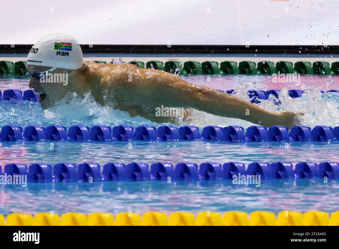 Matthew sates of south africa hi-res stock photography and images - Alamy