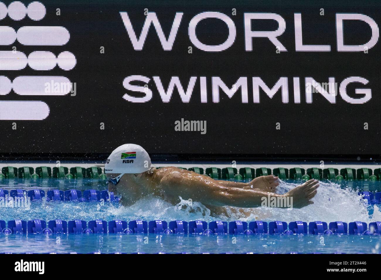 Matthew sates of south africa hi-res stock photography and images - Alamy