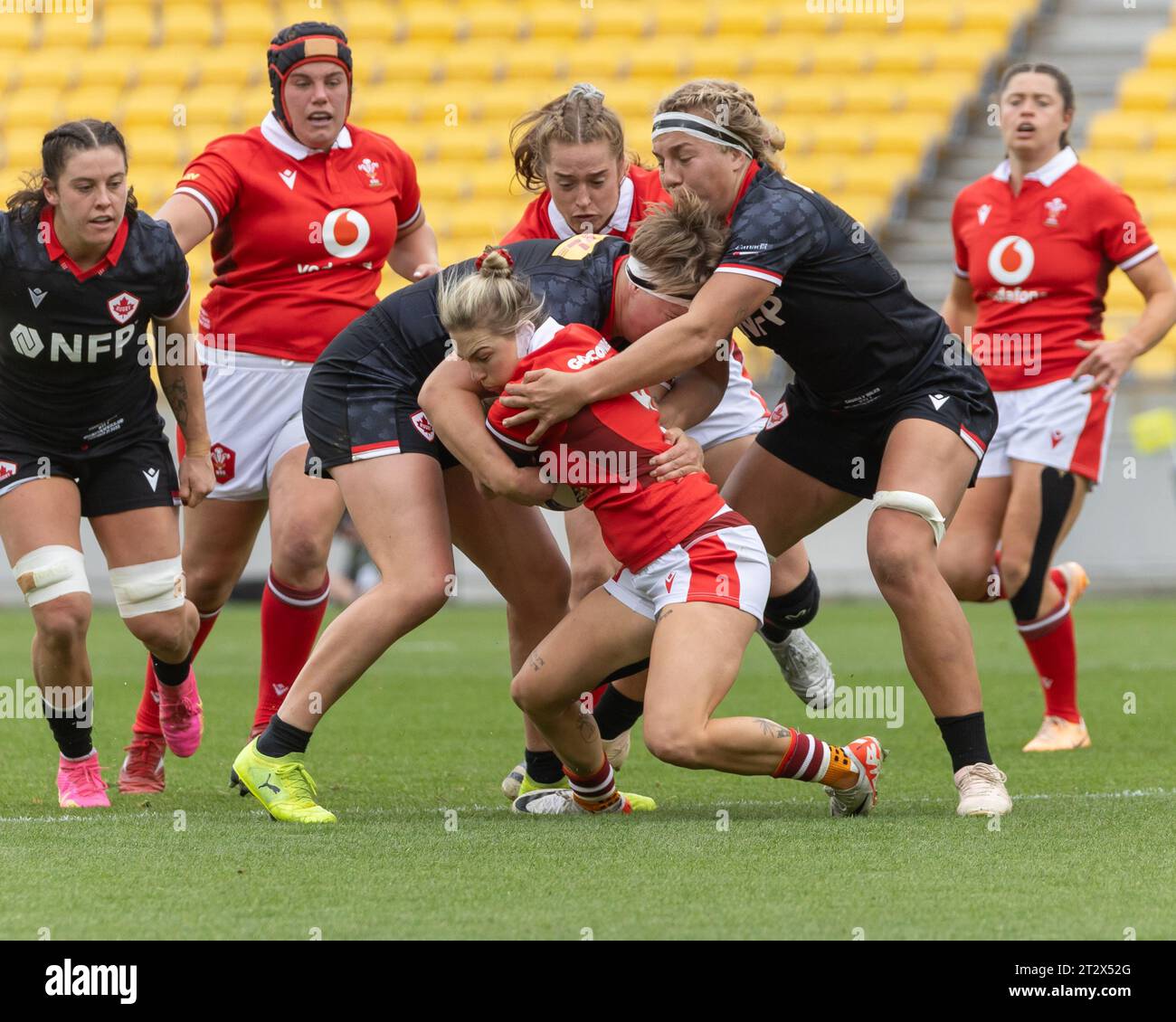 October 21, 2023, Wellington, Te Whanganui-a-Tara, New Zealand ...