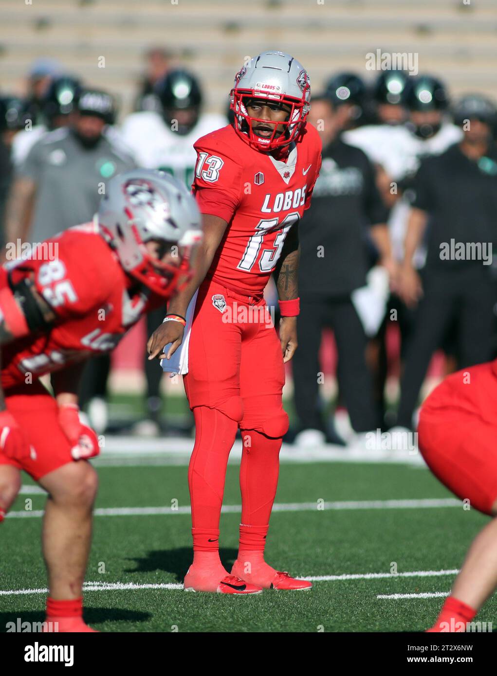 October 21, 2023 - New Mexico Lobos quarterback Devon Dampier #13 ...