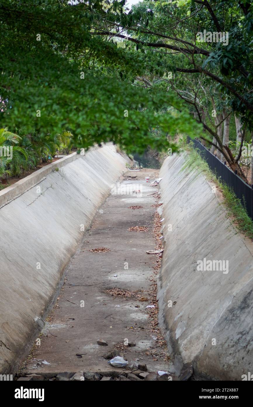 a water ditch that dries up in the dry season, with trees growing ...