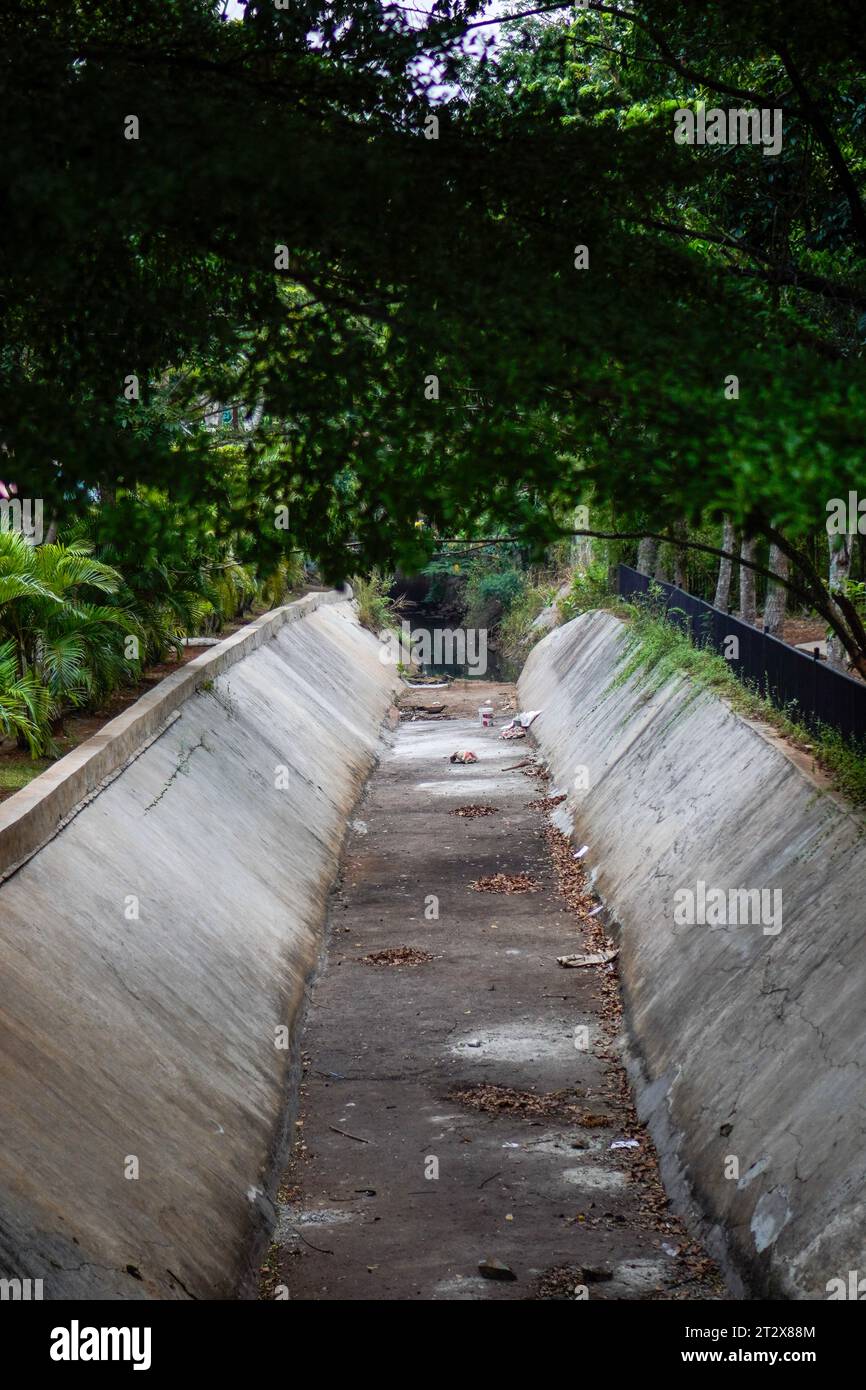 a water ditch that dries up in the dry season, with trees growing ...