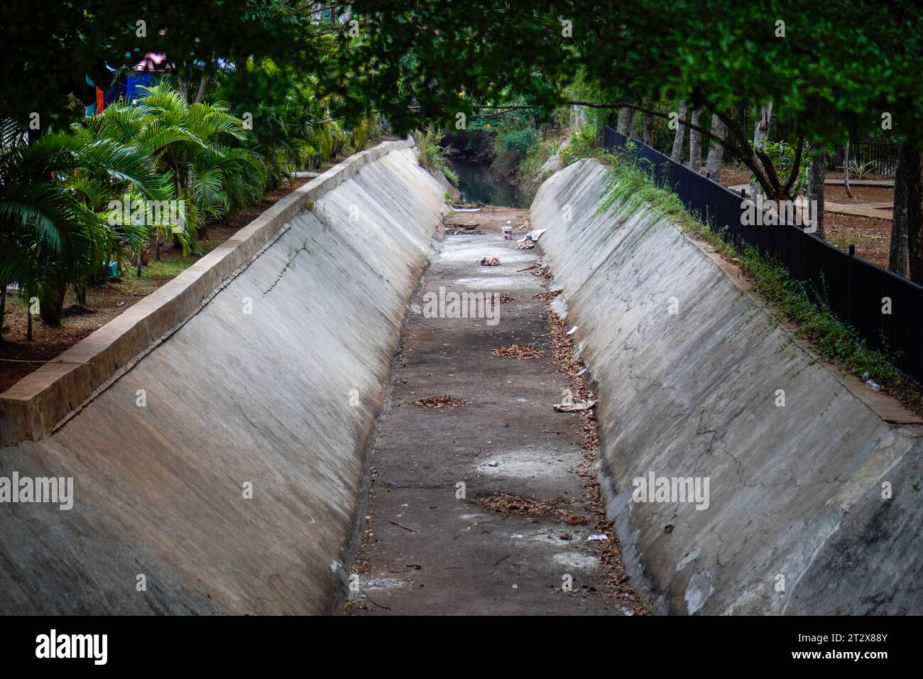 a water ditch that dries up in the dry season, with trees growing ...