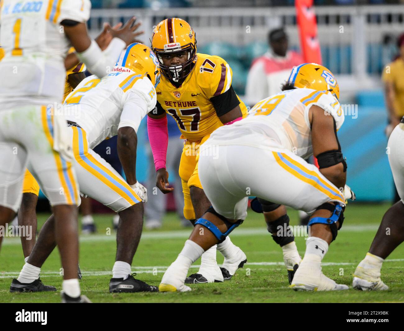 Everbank stadium hi-res stock photography and images - Alamy