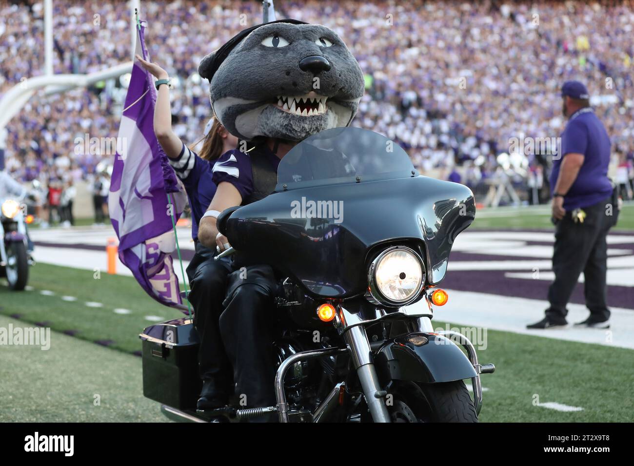 MANHATTAN, KS - OCTOBER 21: Kansas State Wildcats mascot Willie the ...