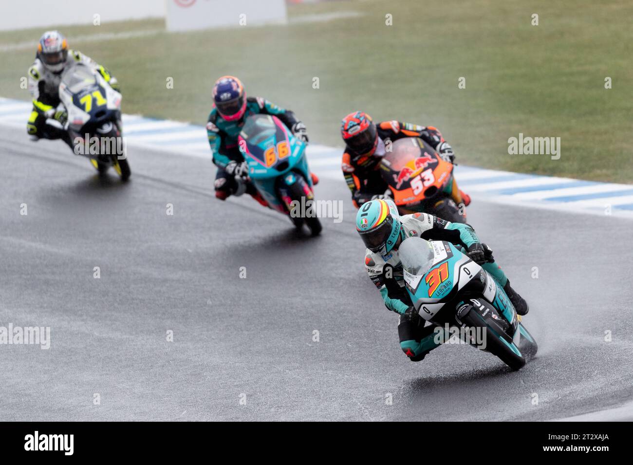 Leopard racing honda hi-res stock photography and images - Alamy