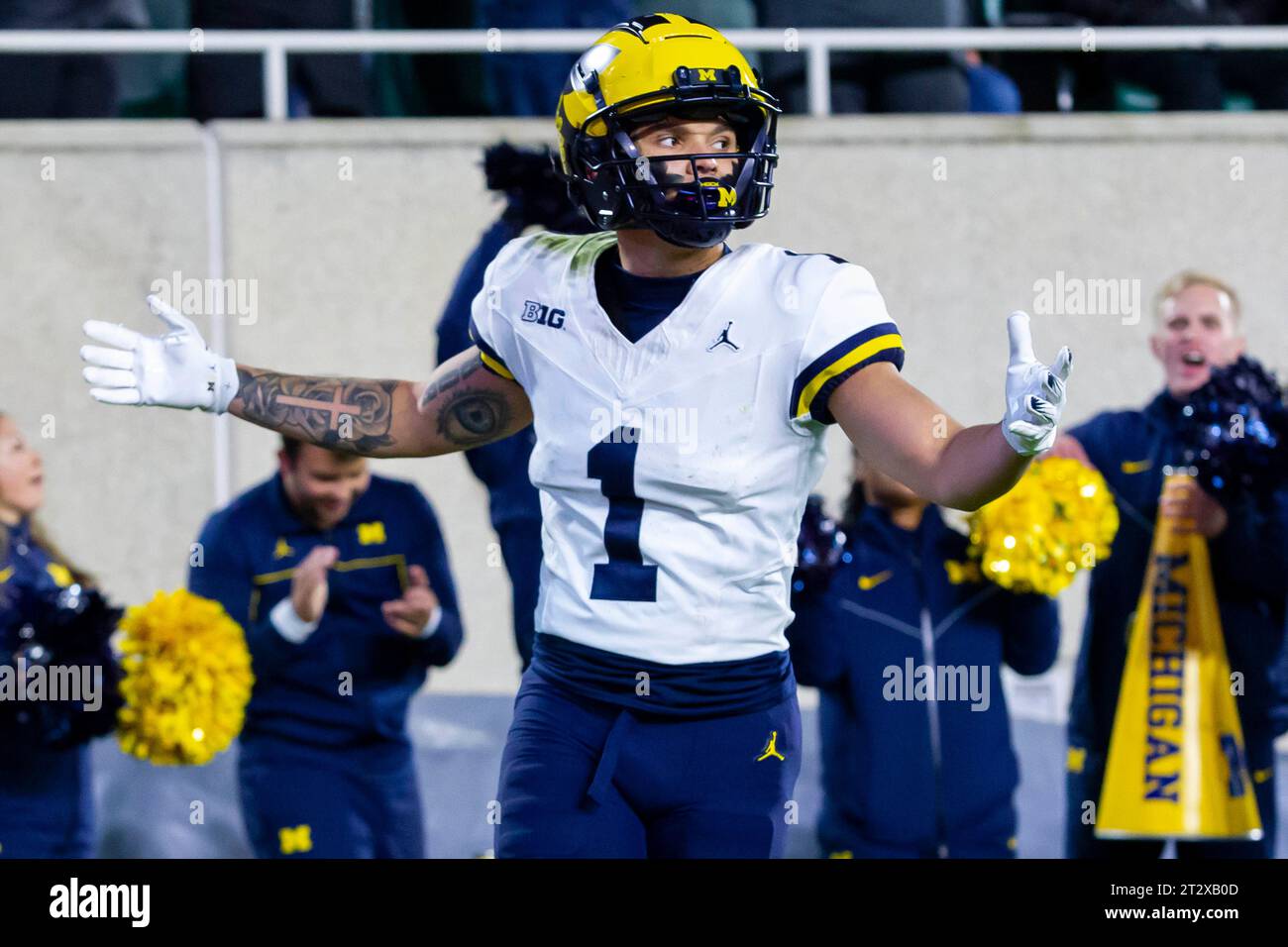 Roman wilson michigan hi-res stock photography and images - Alamy