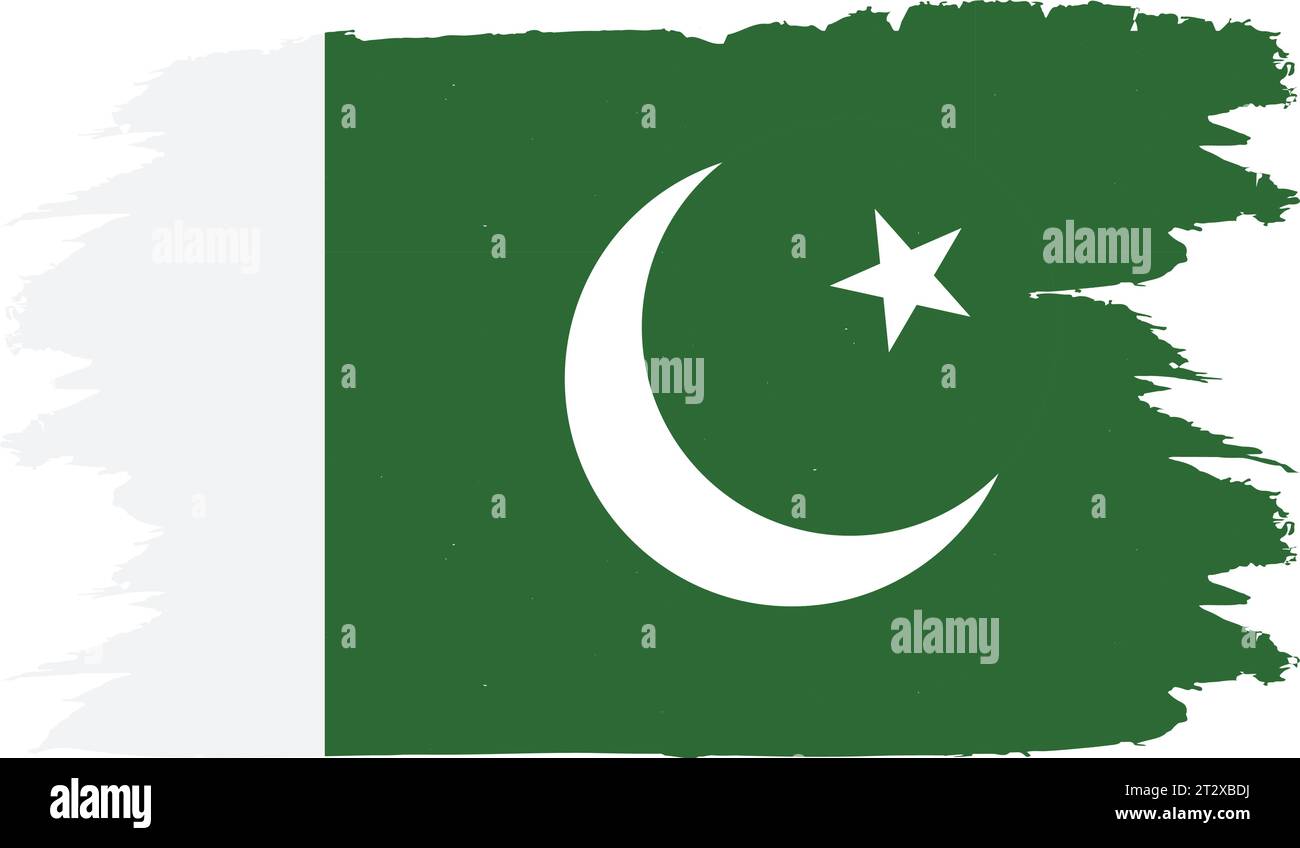 Illustration of the official national flag of Pakistan in vector form ...