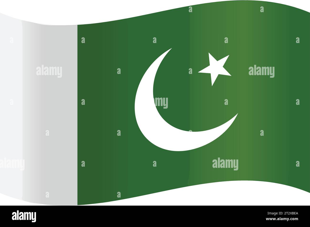 Illustration of the official national flag of Pakistan in vector form ...