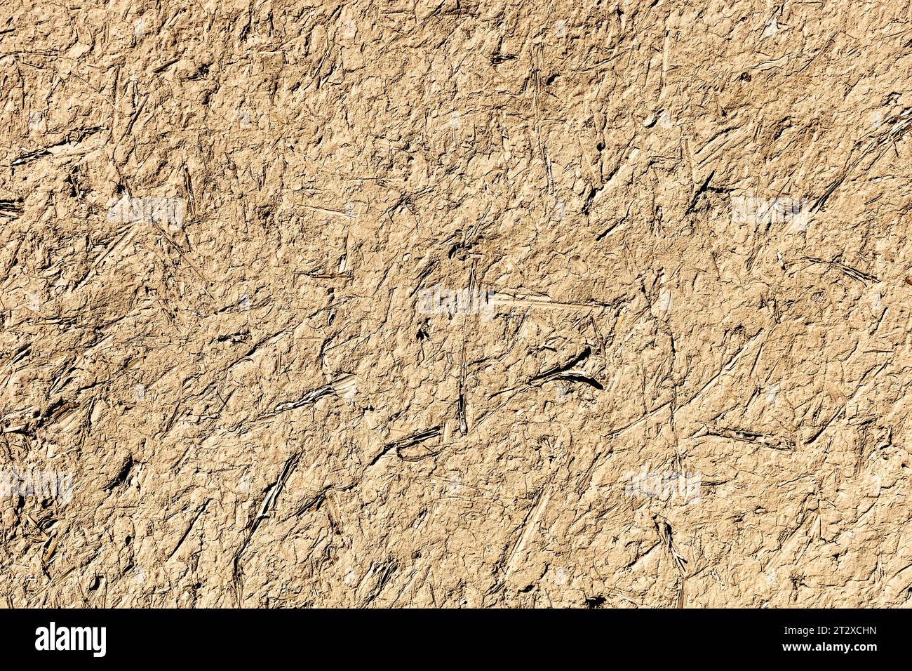 Textured plaster background to create a background or textures for the ...