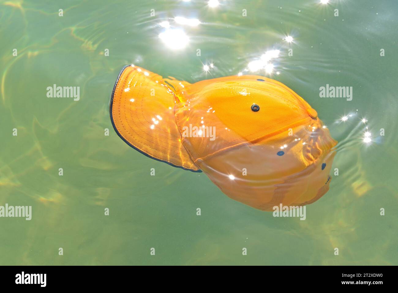 the cap floats on the surface of the water Stock Photo - Alamy
