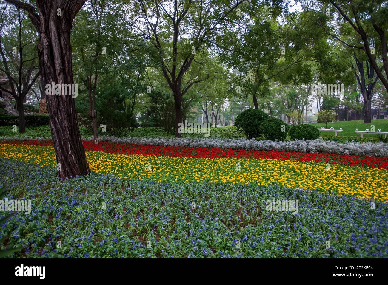 China, Jamming Traditional Style, Beijing Lily Pads Stock Photo - Alamy