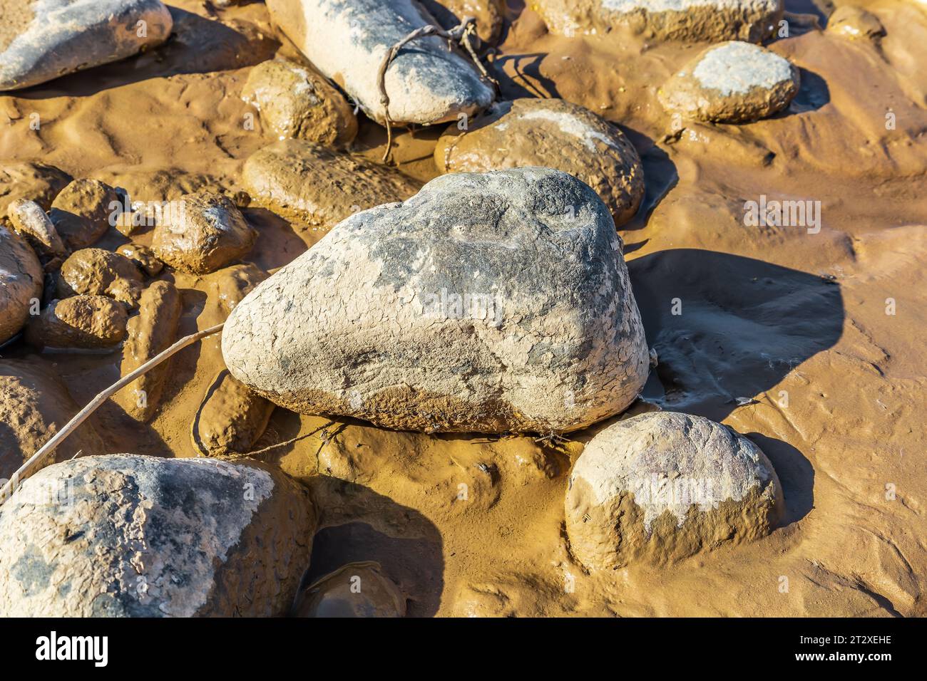 Lives near water hi-res stock photography and images - Alamy